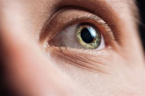 以眉毛和眉毛环视着年轻男子的眼睛他高清图片下载 正版图片504386199 摄图网