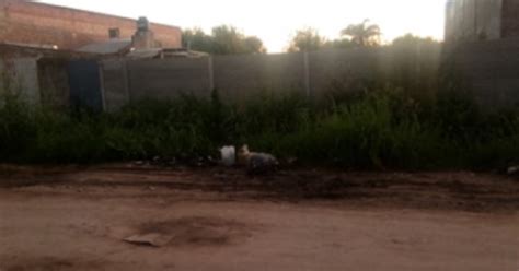 Vecinos Se Quejan Por El Abandono De Un Terreno