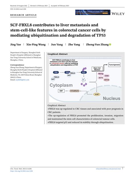 Pdf Scf Fbxl8 Contributes To Liver Metastasis And Stem Cell Like