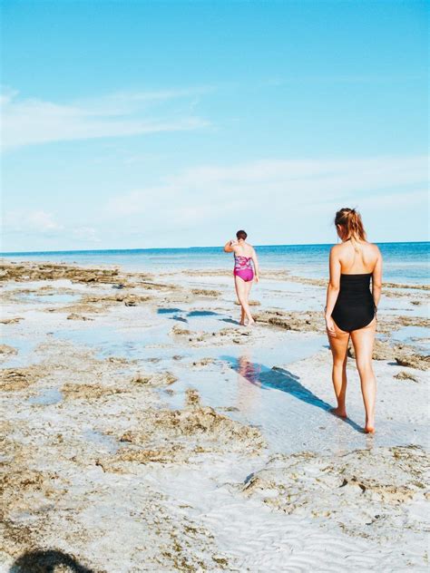 The Ultimate Key West Florida Bucket List Artofit