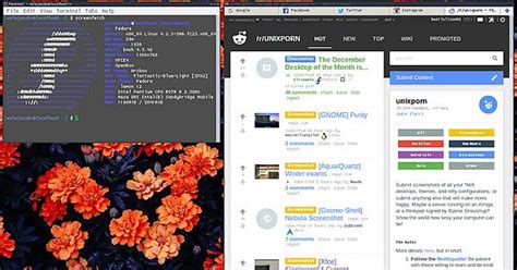 [xfce Openbox] My Last Fedora Rice Imgur