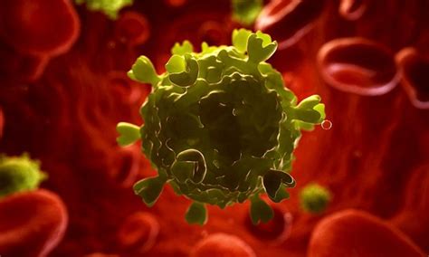 Major New Hurdle In The Hunt For An Aids Cure Research Shows Dangerous