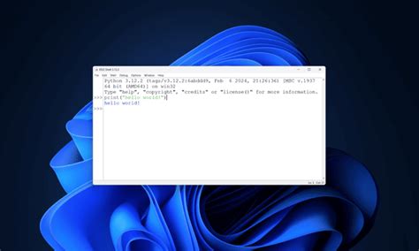 How To Install Python On Windows 11