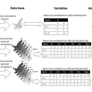 Schematic Illustration Of The Workflow Download Scientific Diagram