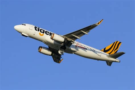 タイガーエア台湾 Airbus A320 B 50005 福岡空港 航空フォト By Mocohideさん 撮影2018年08月28日