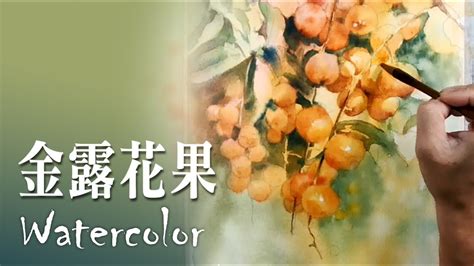 水彩示範金露花果 王文詵 YouTube
