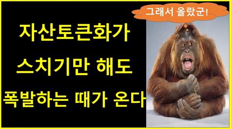 자산토큰화 경쟁 속에서 어떤 코인이 크게 오를까 리플 비트코인 이더리움 블랙록 바이낸스 코인베이스 폴리곤 에이다 솔라나 트론 도지 Etf Ftx 아발란체 체인링크 클레이