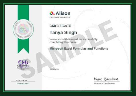 Microsoftexcel Professionalgrowth Lifelonglearning Dataanalysis Tanya Singh