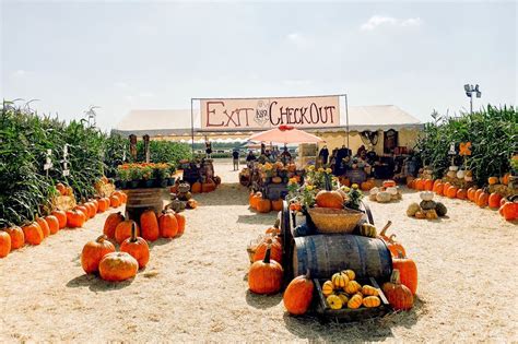 Treasured Bay Area Pumpkin Patch Suffers Thousands In Vandalism Damage