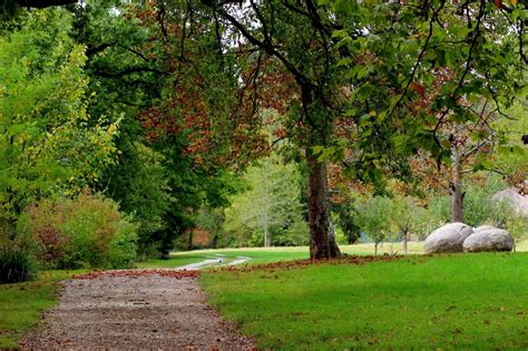 Free Images Landscape Tree Nature Path Grass Branch Plant Lawn