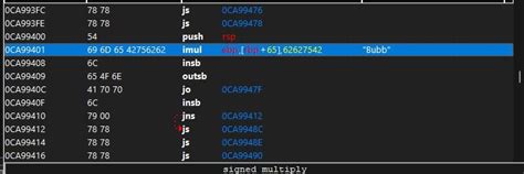 reverse engineering r hacking