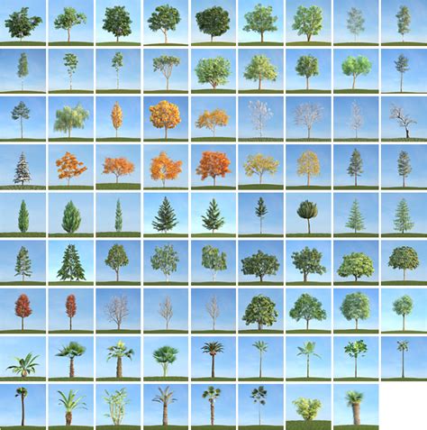 Archmodels Vol 113 3d Models Of Low Poly Trees
