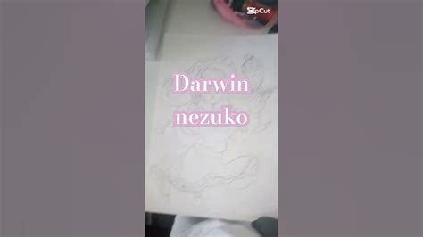 Demonslayer Nezukokamado Youtube
