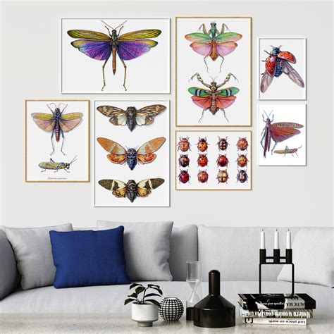 Grasshopper Science Art Print Etsy