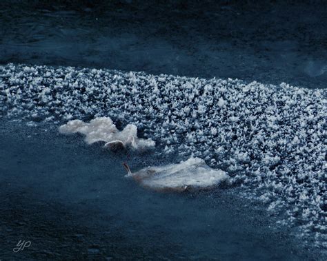 Eiswall D Pixxde Forum