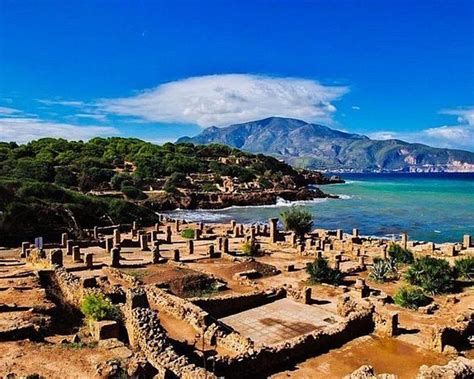 Centre Commercial Bab Ezzouar 2025 All You Need To Know Before You