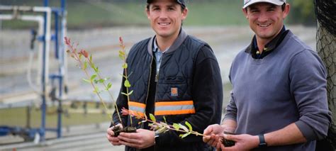 Hills Transplants Grows Next Generation Of Tree Seedlings For