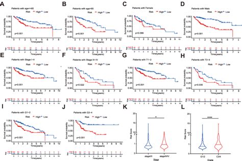 Stratified Analysis Of The Prognostic Signature In The Tcga Dataset Os