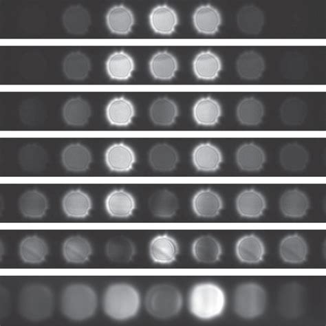 Top Image Layout Of The Diffraction Process In A Stem Showing The