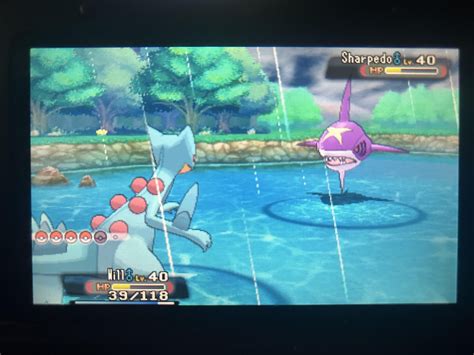 Gen6 Shiny Sharpedo After 60 Chain Fishing Encounters Rshinypokemon