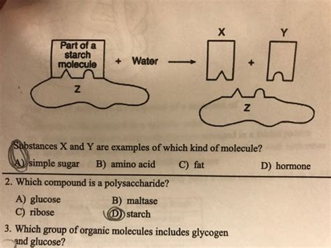 8th Chapter 2 Science Quiz Flashcards Quizlet