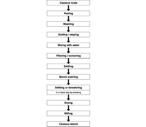 Biochemistry Lecture Notes Starch And Starch Technology