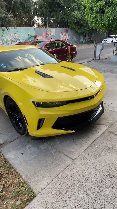 Camaro Ss Ufff🥰😍😍 Humor Shorts Camaro Youtube