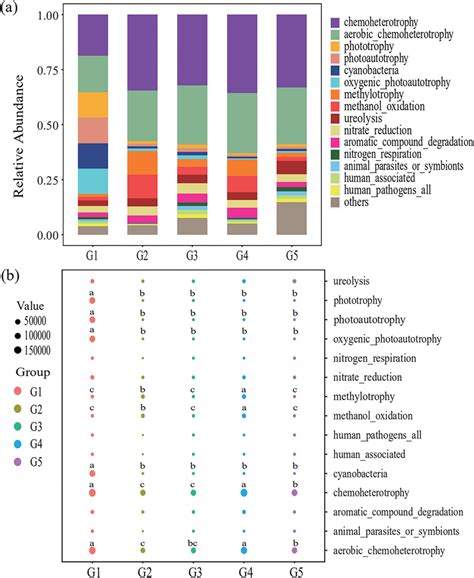 Predicted Functional Profiles A The Relative Abundance Of The Dominant Download Scientific