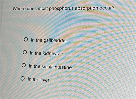 High Quality Solution Where Does Most Phosphorus Absorption Occurin