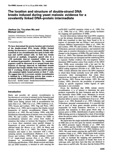 Pdf The Location And Structure Of Double Strand Dna Breaks Induced During Yeast Meiosis
