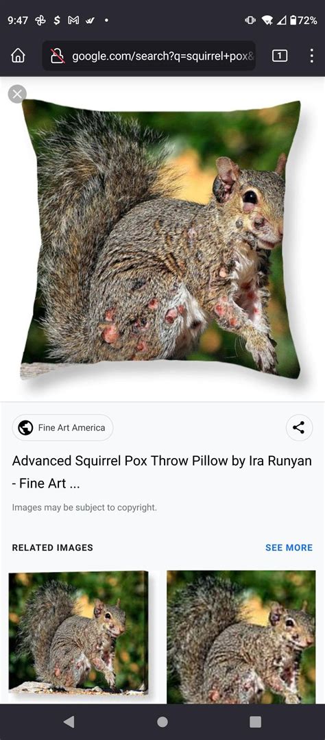 Thanks I Hate Hatless Toad Rtihi