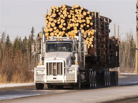 logging truck driver dead after triggering multi vehicle crash near
