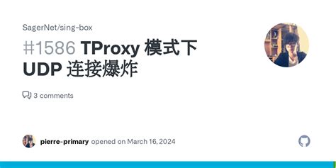 Tproxy 模式下 Udp 连接爆炸 · Issue 1586 · Sagernetsing Box · Github