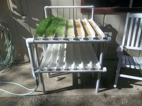 Homemade Fodder System