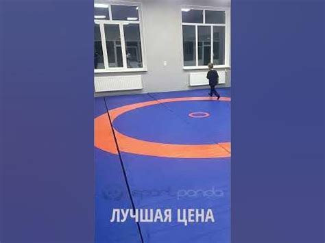 Погрузитесь в мир занятий спортом/ролл-маты/ #fit #gym #healthy # ...