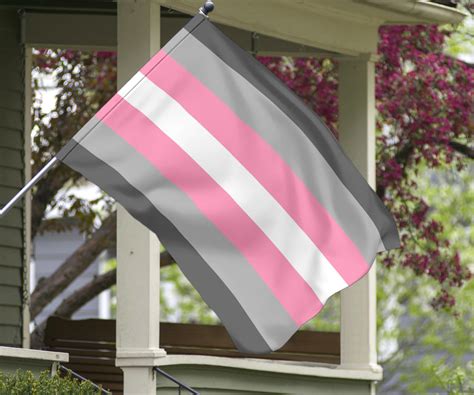Demigirl Flag Demigirl Lesbian Pride Flag Demisexual Lgbtq Banner Deco