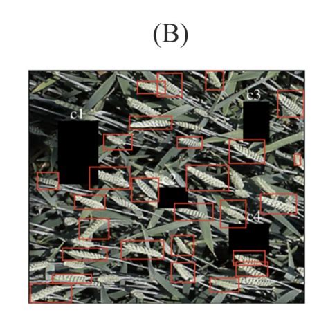 Illustrations Of Three Data Enhancement Methods A Cutout Method B