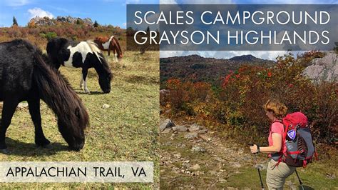 Scales Campground Wise Shelter Grayson Highlands State Park