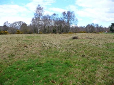 Visit Shirrell Heath 2026 Travel Guide For Shirrell Heath Southampton Expedia