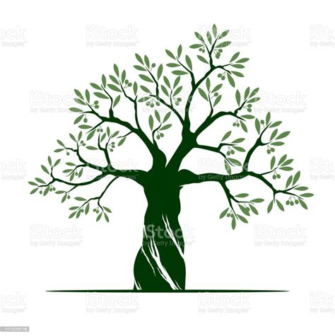 白色背景上的綠色向量橄欖樹向量插圖和概念植物在花園裡向量圖形及更多傳統園林圖片 傳統園林 剪裁圖 創作性 Istock
