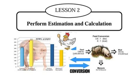 2 Perform Calculation And Estimationpptx