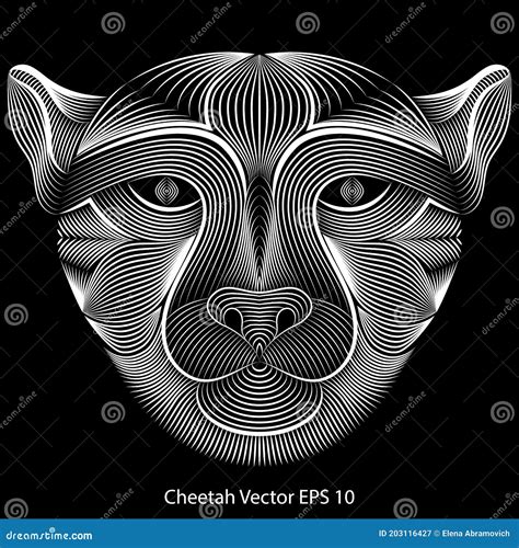 Abstract Cheetah Head Leopard Line Art Stock Vector Illustration Of