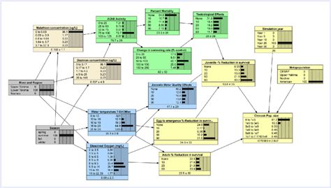 A Graphical Depiction Of The BN RRM Created In Netica Norsys 2014