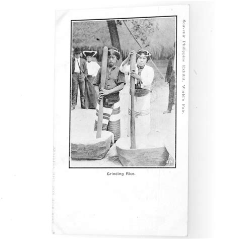 Sold Grinding Rice Postcard 1904 St Louis Worlds Fair Buy Collect Sell