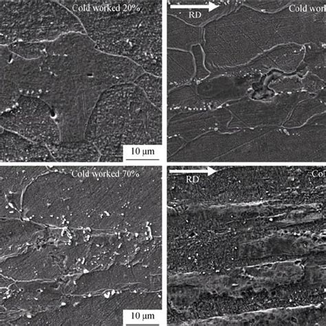 Microstructures Of The Cold Worked Samples Obtained By Sem The Rolling