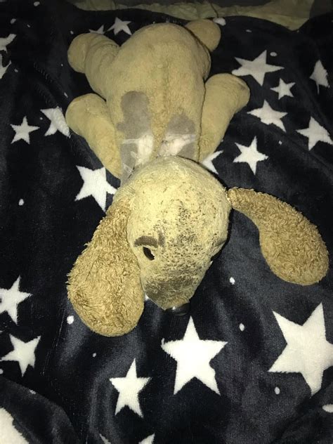 Can anyone please help me find the brand of stuffed animal this guy is ...