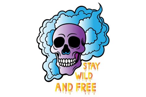 Human Head Skulls Royalty Free Vector Image Vectorstock