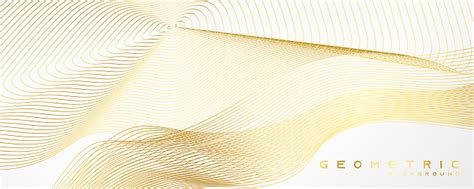 골드 라인 요소가있는 추상적인 우아한 화이트 럭셔리 배경 0명에 대한 스톡 벡터 아트 및 기타 이미지 0명 3차원 형태 개념 Istock