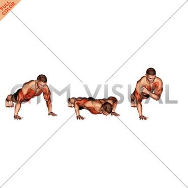 Shoulder Tap Push Up Illustration