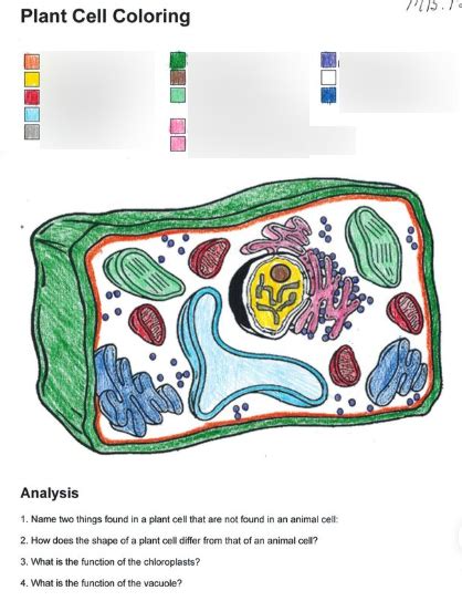Bio Diagrams Diagram Quizlet